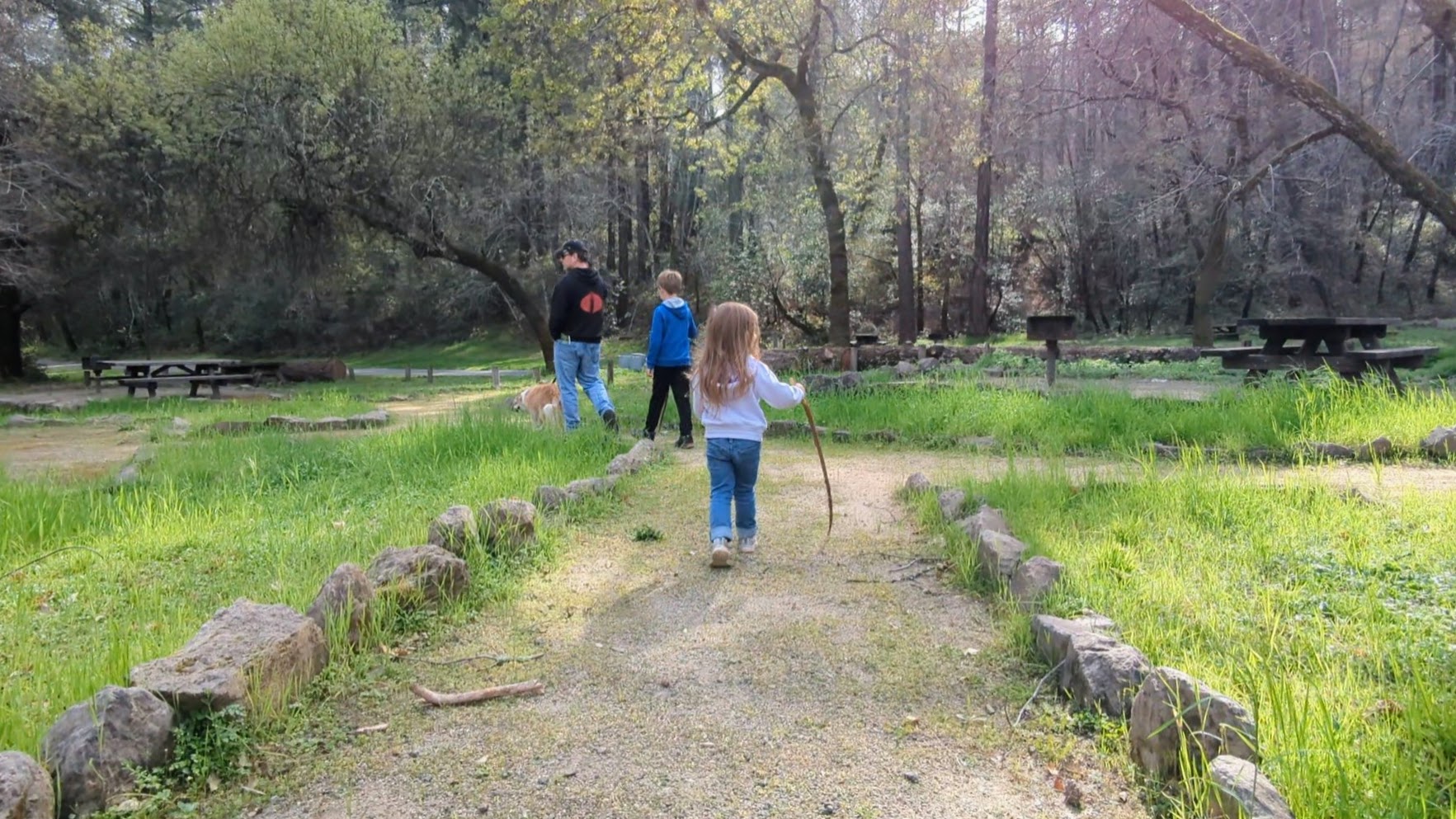 Bothe-Napa Valley Campground Review - Rogina Roaming